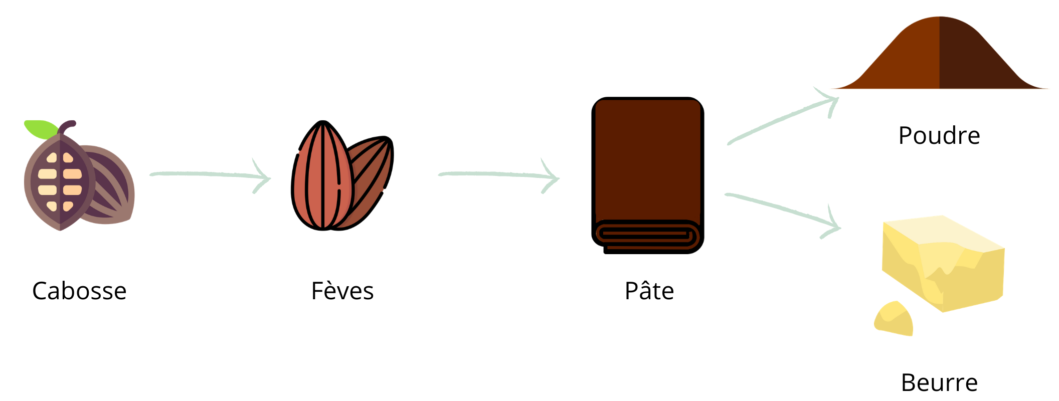 Le chocolat c’est bon pour la santé ! - Saunion